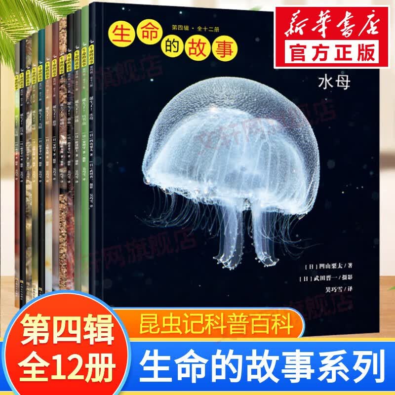生命的故事系列 儿童昆虫记科普百科全书 第四辑全套12册 第4辑