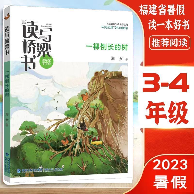 2023省暑假一本好书3-4年级全套12册必读课外书推荐 读写桥梁书