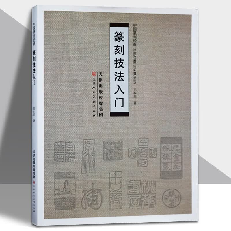 中国篆刻经典 篆刻技法入门 路振平天津人美艺术书法篆刻历代篆刻赏析篆刻经典技法解析篆刻入门丛书