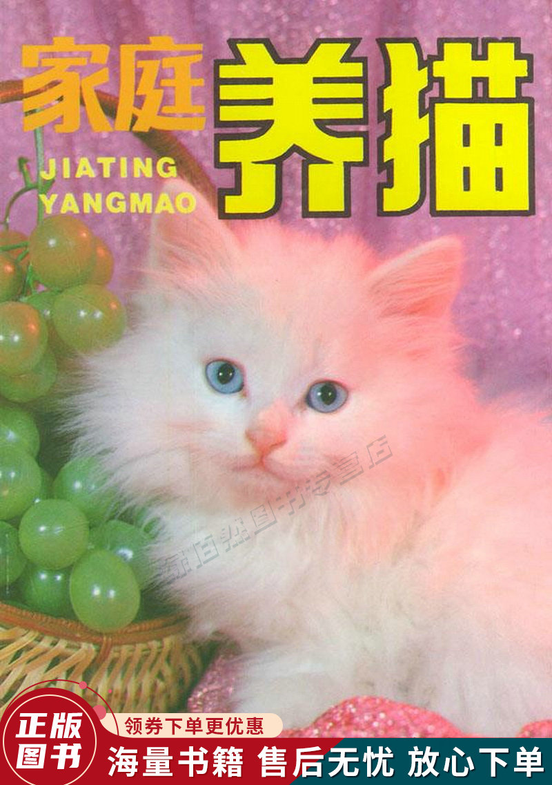 家庭养猫