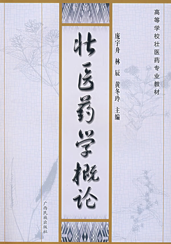 壮医药学概论 黄冬玲 庞宇舟 林辰【好书，下单速发】