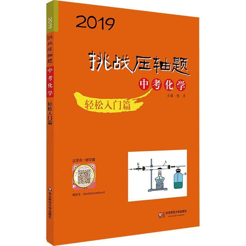 2019挑战压轴题·中考化学—轻松入门篇 扬洋 著 华东师范大学出版社