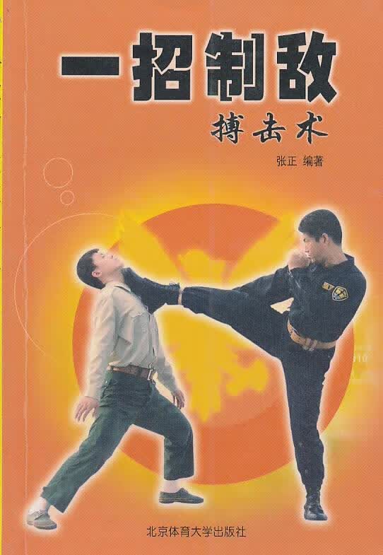 一招制敌搏击术