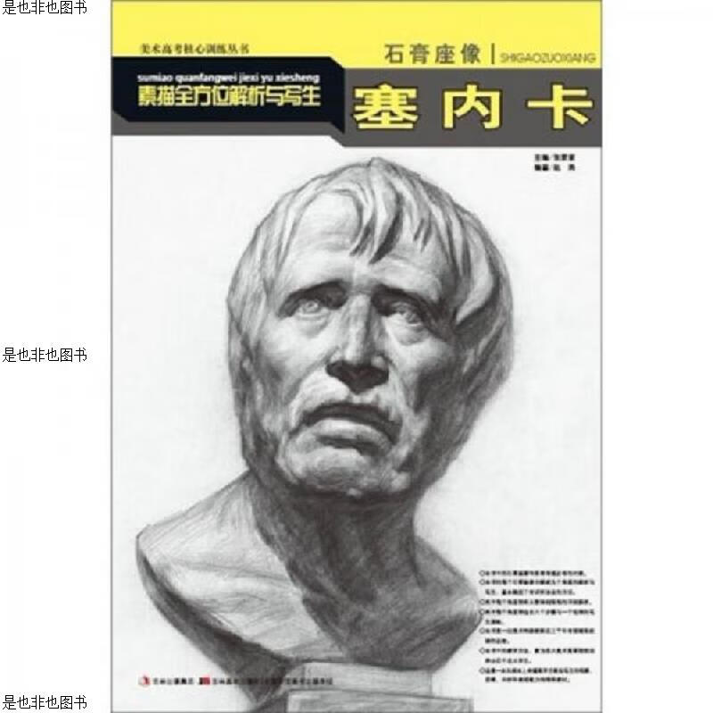 石膏座像素描全方位解析与写生：塞内卡