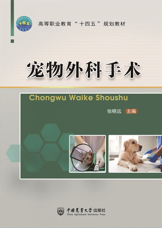 宠物外科手术