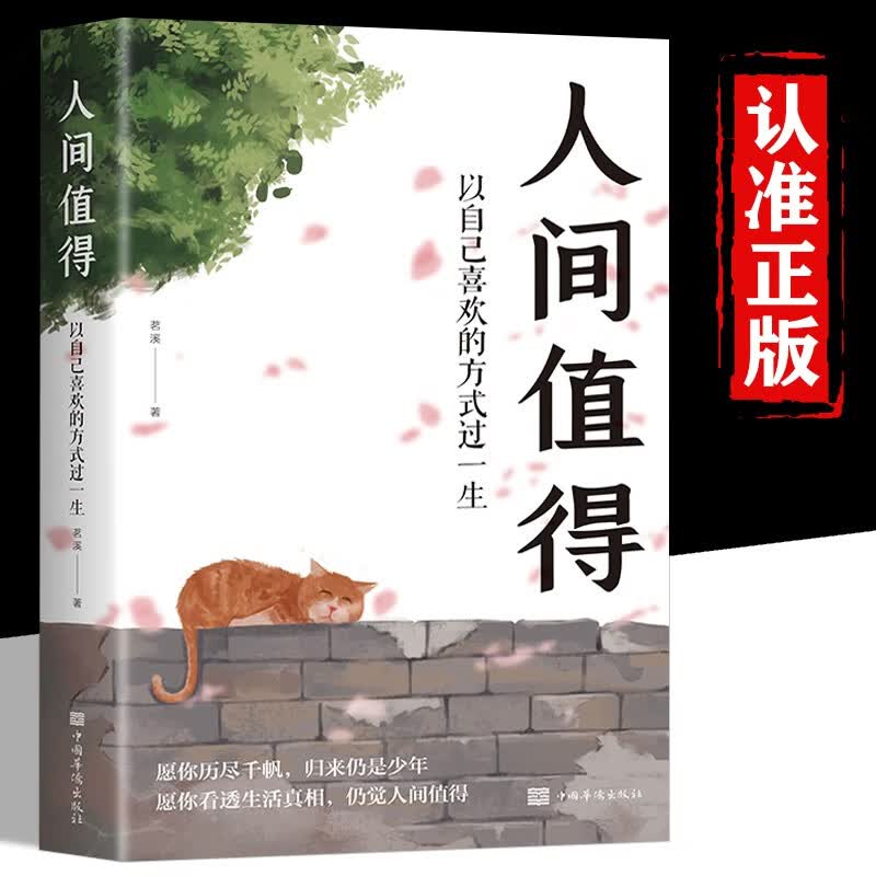 【抖音同款】人间值得书 以自己喜欢的方式过一生成长励志书籍 初高中生阅读人生正能量青春文学 人间值得