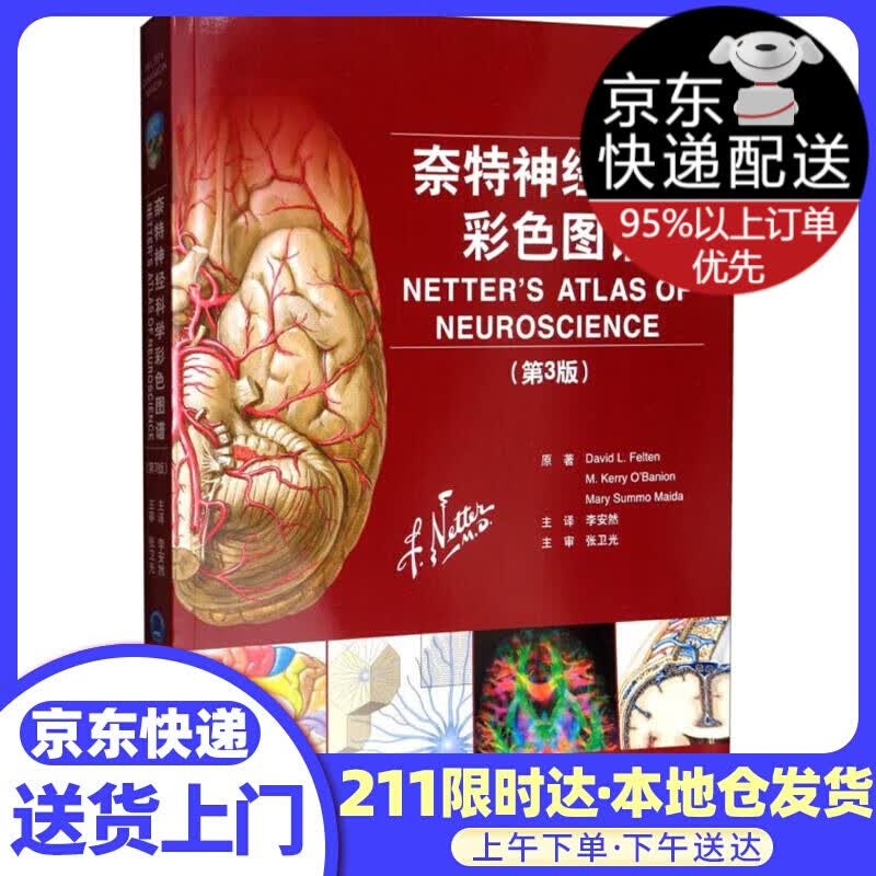 奈特神经科学彩色图谱（第3版）