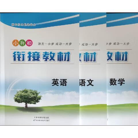 2024版赢在初中起跑线上 小升初衔接教材 科目自选 语文