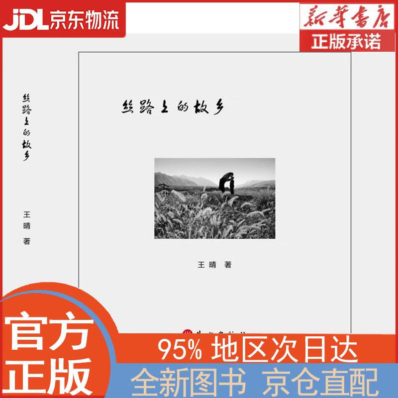 丝路上的故乡 王晴 外文出版社 王晴 著 外文出版社