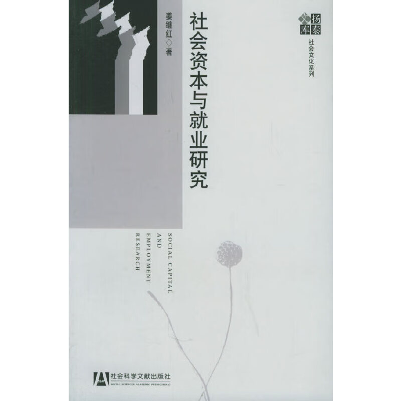 社会资本与就业研究【好书】