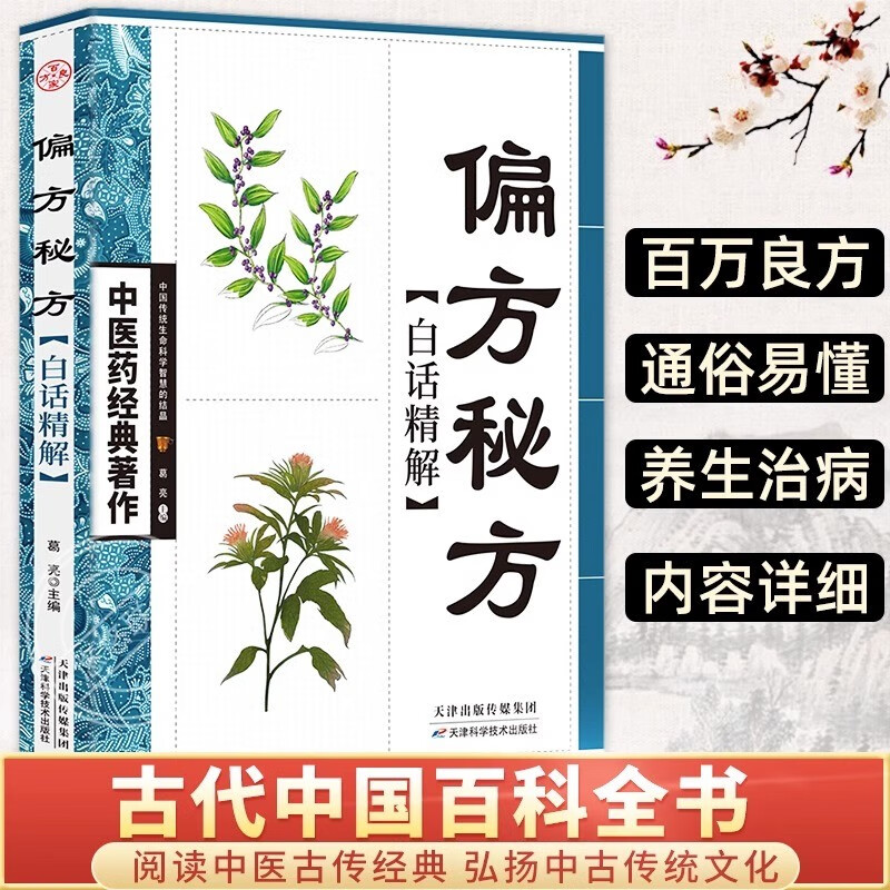 偏方秘方白话精解 抖音推荐 中医药经典著作古今药房荟萃大病小病书中求解中医养生参考书籍 抖音推荐：偏方秘方
