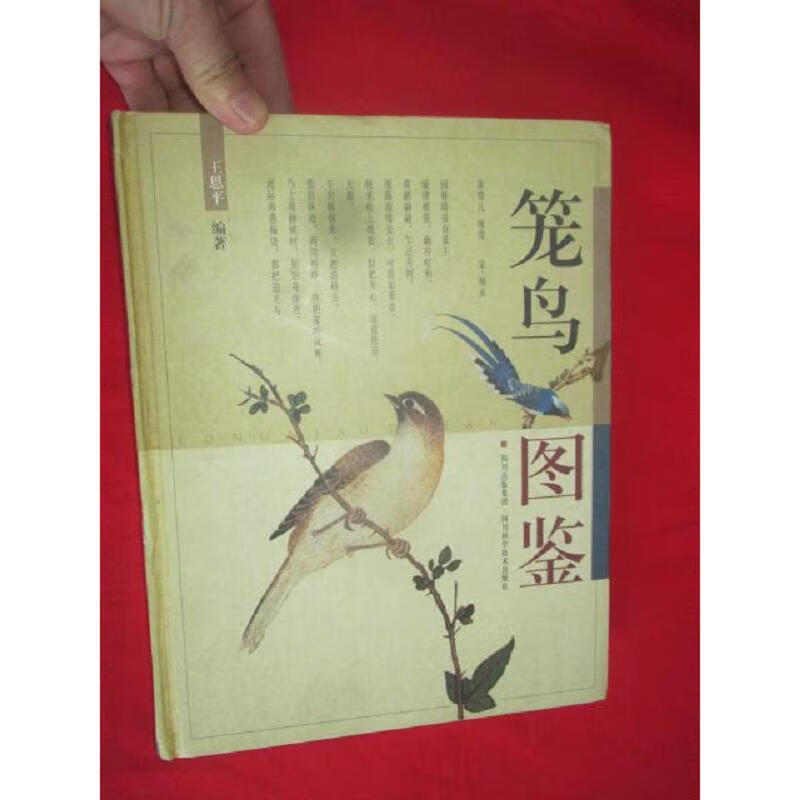 笼鸟图鉴   (大16开,硬精装)