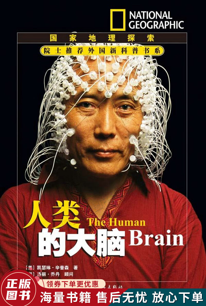 人类的大脑