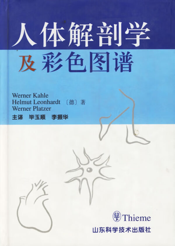 人体解剖学及彩色图谱 (德)卡尔(Kahle.W.) 等编,毕玉顺 等译 山东科学技术出版社