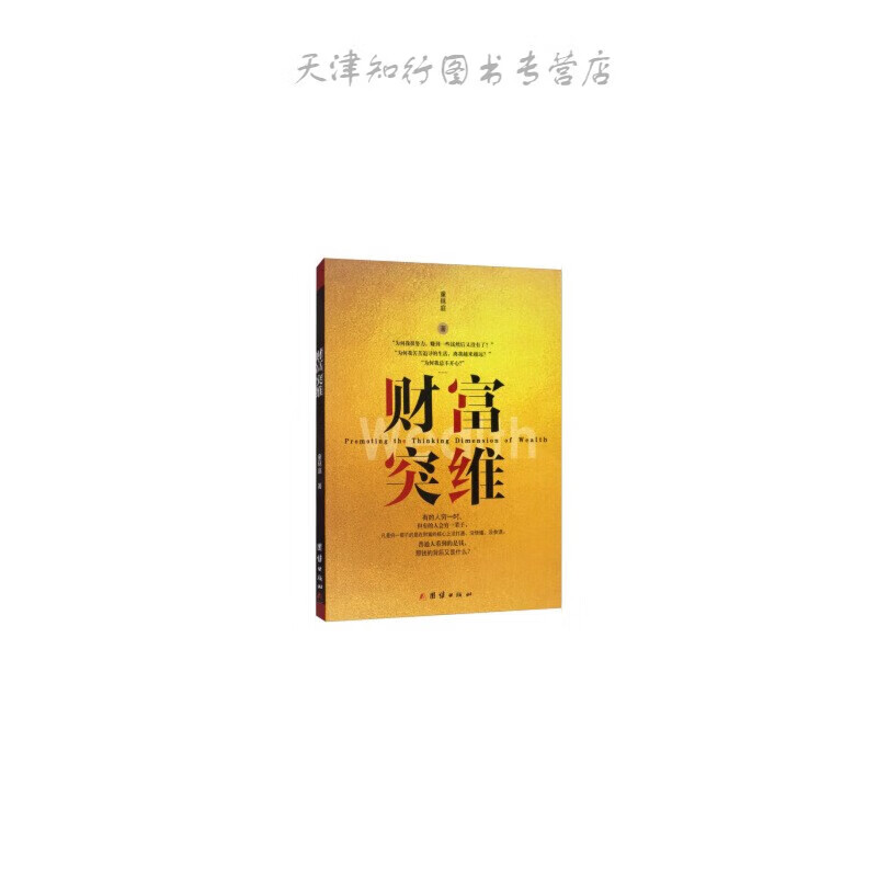 财富突围 童秝庭 著 团结出版社