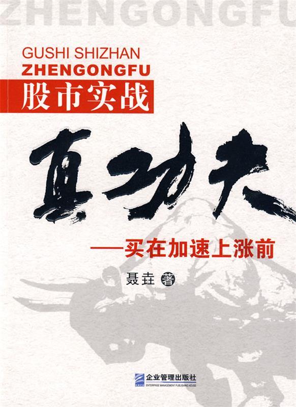股市实战真功夫 聂垚 著