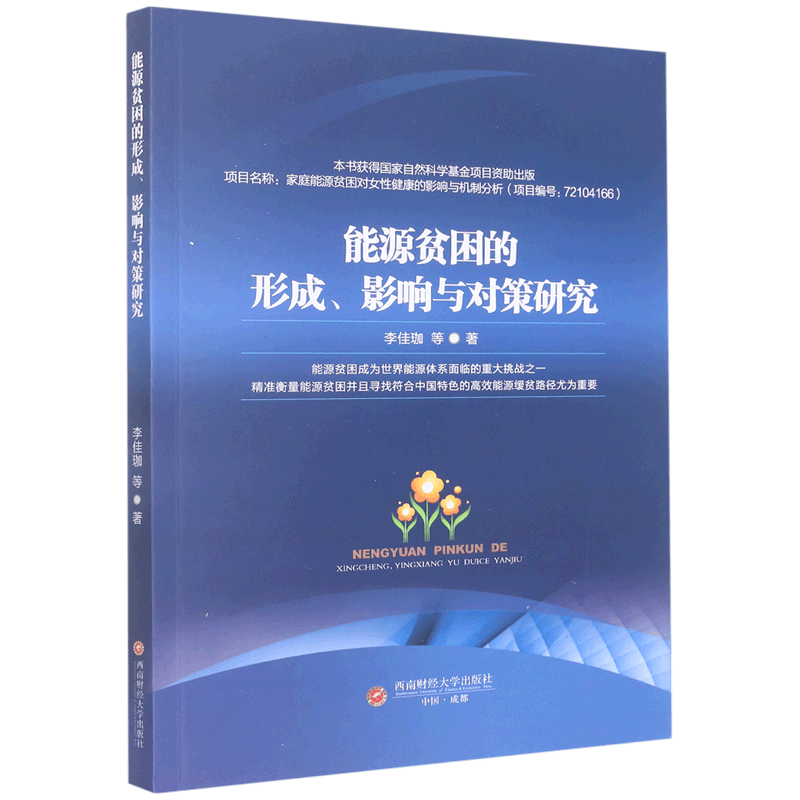 能源贫困的形成影响与对策研究
