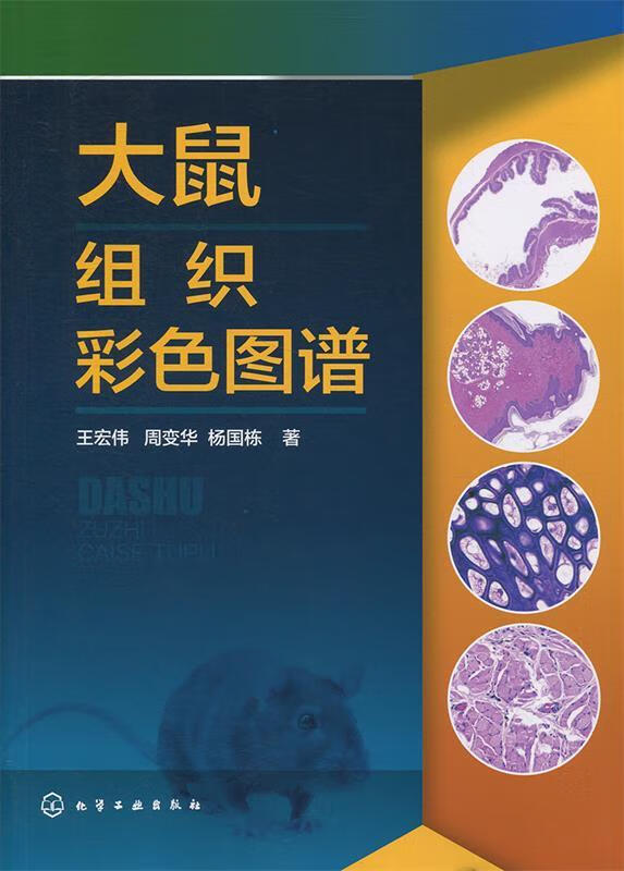 大鼠组织彩色图谱 王宏伟 化学工业出版社 9787122326621
