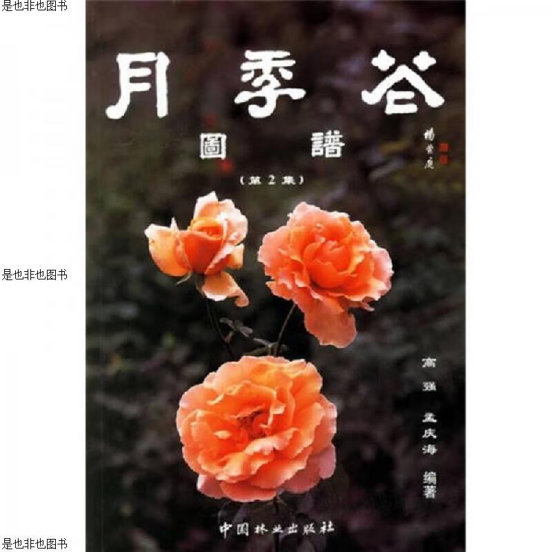 月季花图谱(第2集)