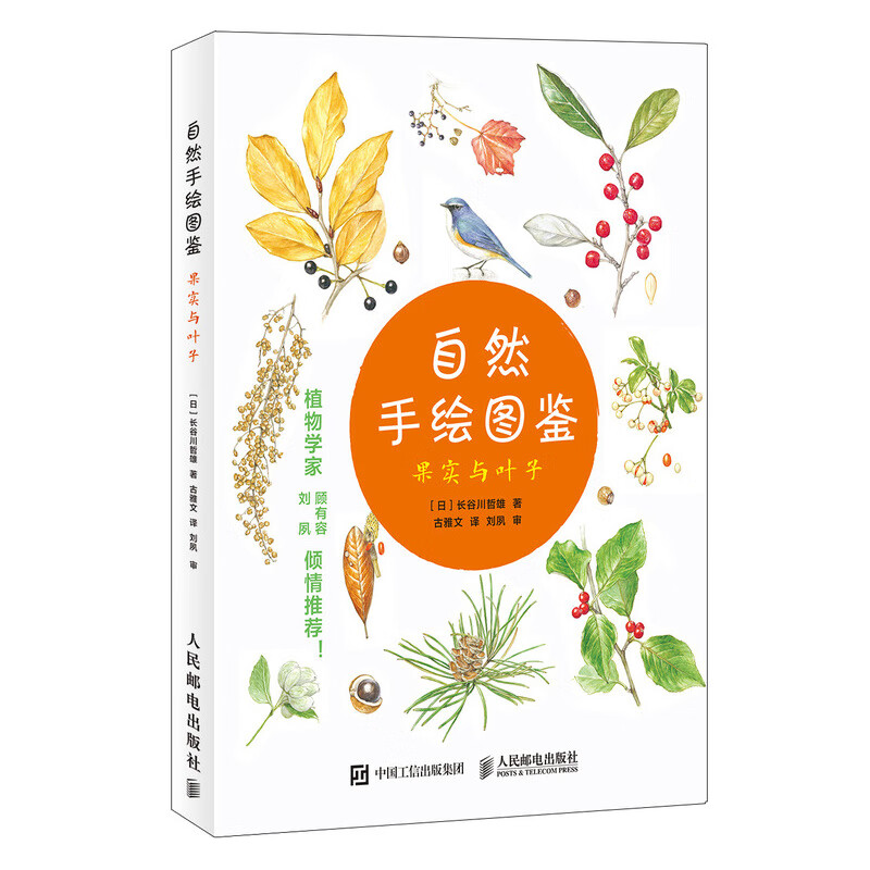 自然手绘图鉴果实与叶子【精选】