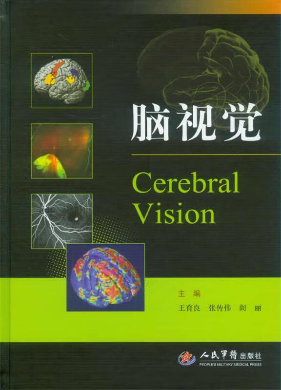 脑视觉 王育良 张传伟 等