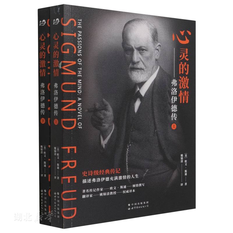 心灵的激情：弗洛伊德传（上下册）
