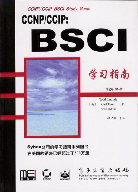 CCNP CCIP:BSCI学习指南 （美）莱蒙 著,邱仲潘 等译
