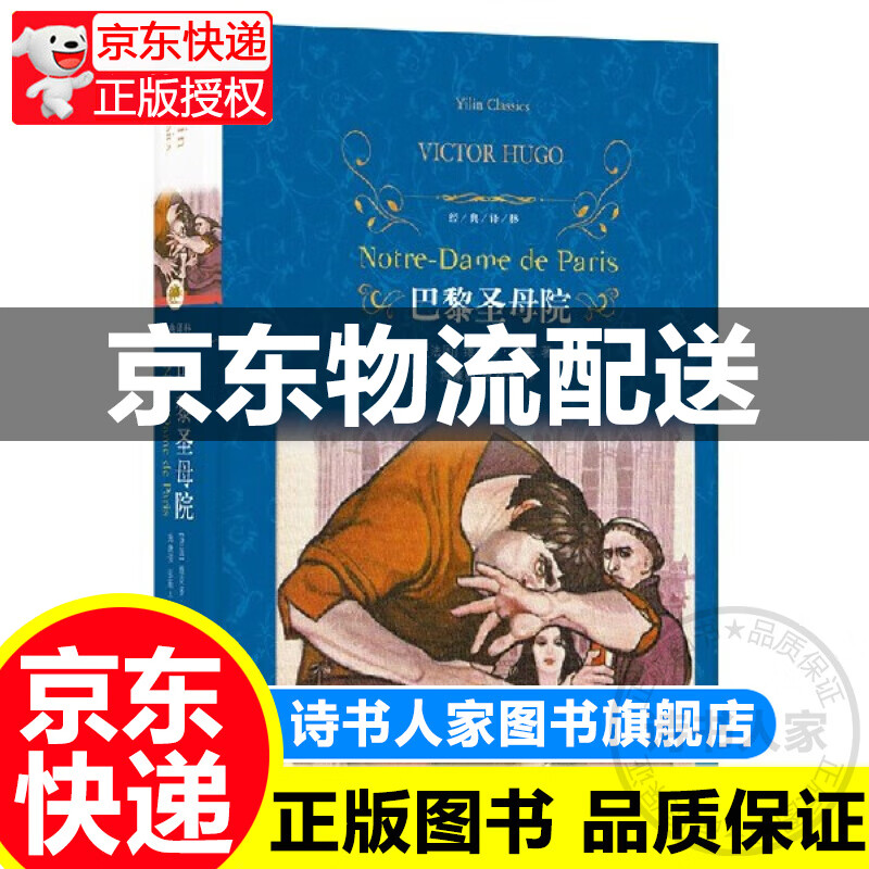 巴黎圣母院译林出版社 雨果 青少年课外阅读高中世界经典文学小说集名著
