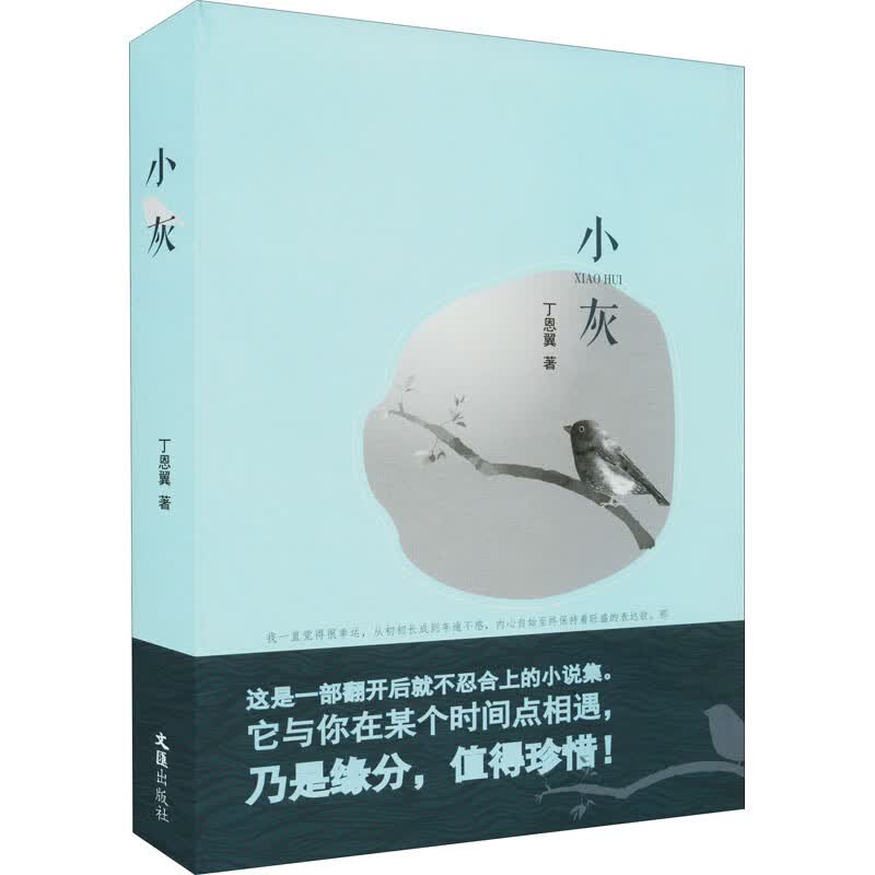 小灰 图书