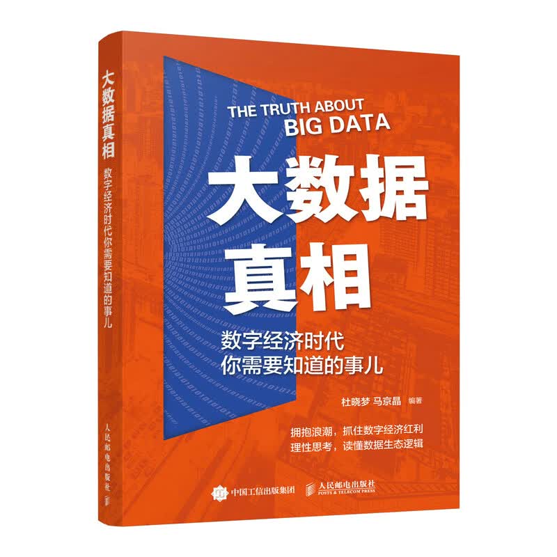 大数据真相：数字经济时代你需要知道的事儿(异步图书出品)