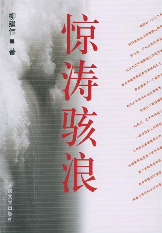 惊涛骇浪【好书，下单速发】
