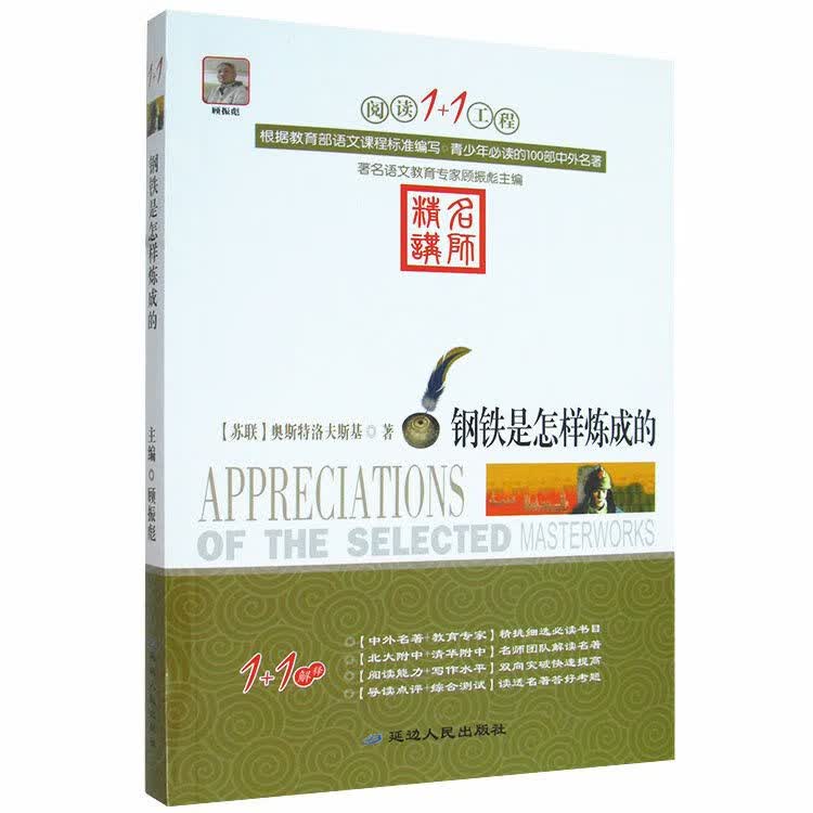 钢铁是怎样炼成的9787544920100