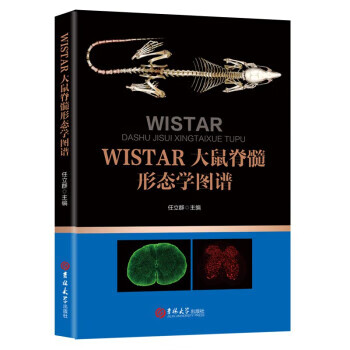 WISTAR大鼠的脊髓形态学图谱 任立群 编 9787569279399
