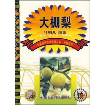 大棚梨 叶明儿 著