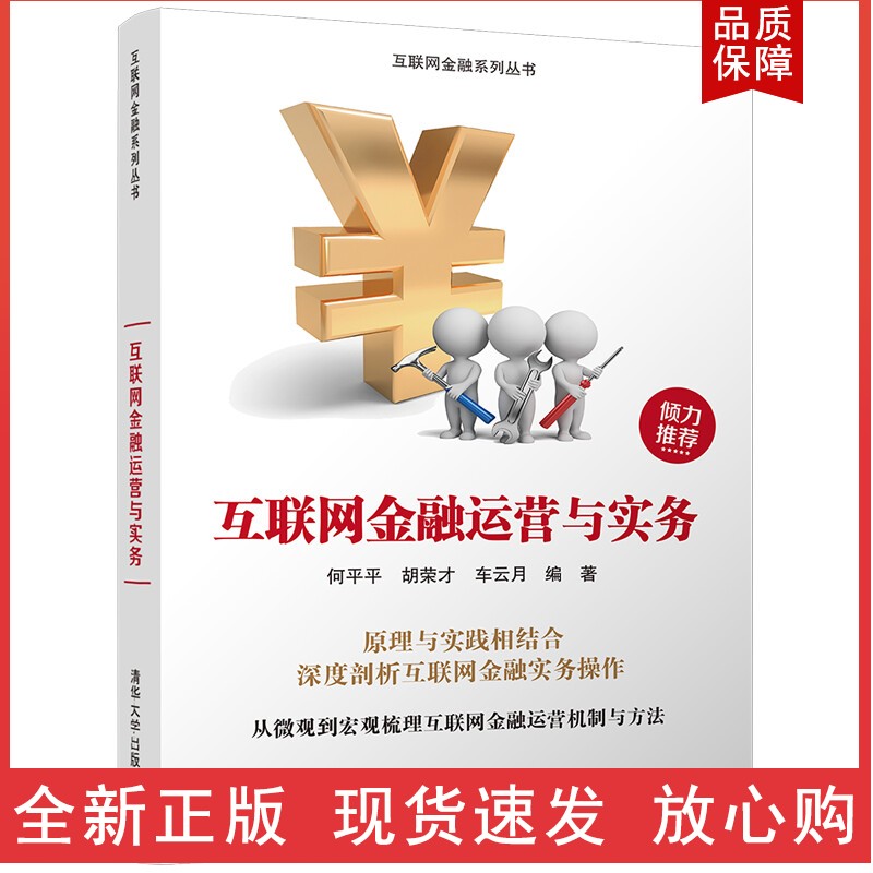 大数据金融与征信/互联网金融系列丛书 互联网金融运营与实务