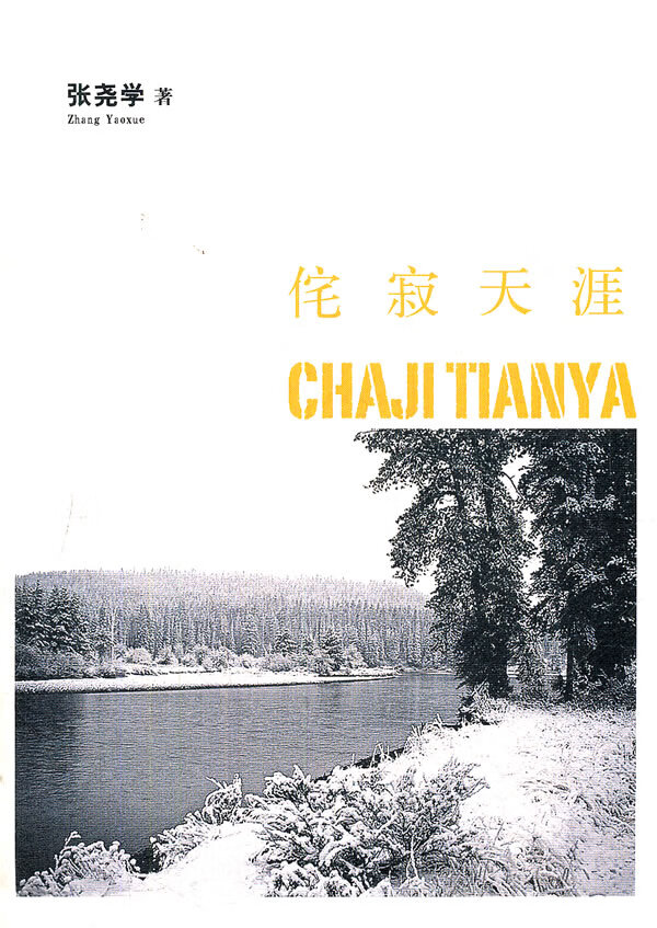 侘寂天涯 张尧学 著