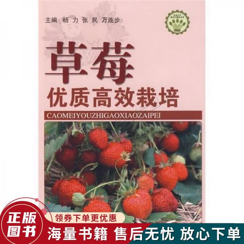 草莓优质高效栽培
