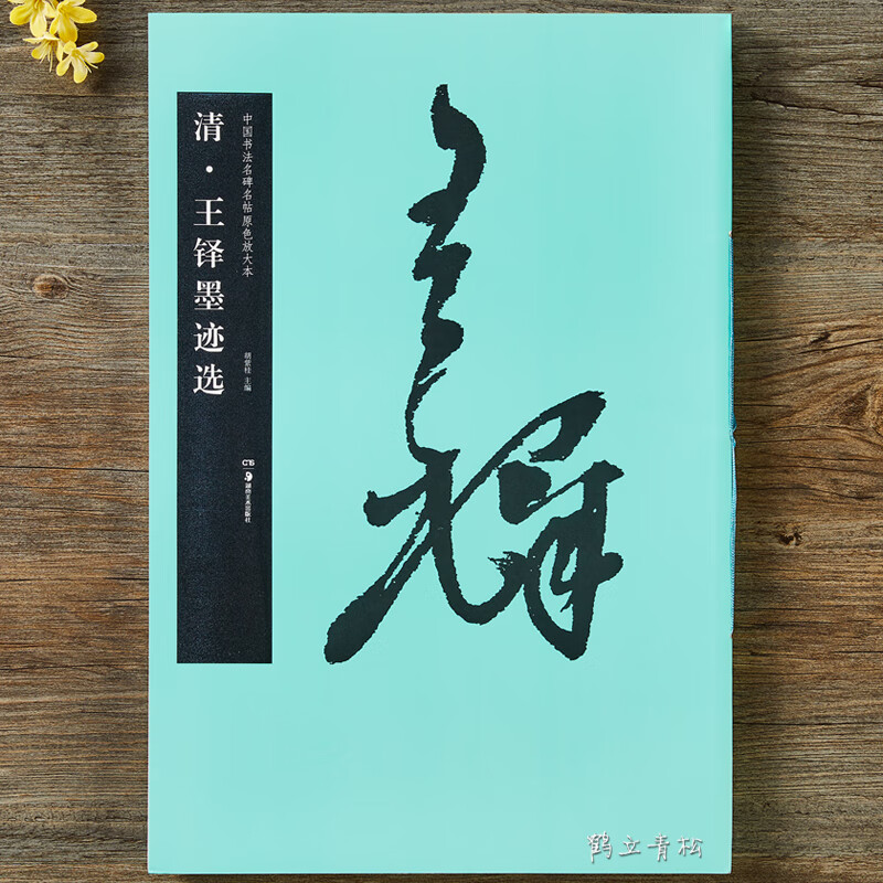 清王铎墨迹选 8开放大毛笔字帖 草书行草诗卷 中国书法名碑名帖原色放大本 王铎书法诗词原碑帖 湖南美术