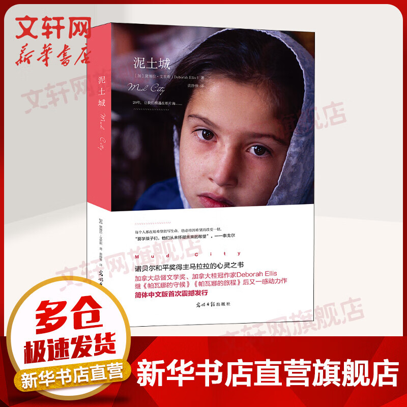 泥土城 (加)黛博拉艾里斯 儿童读物