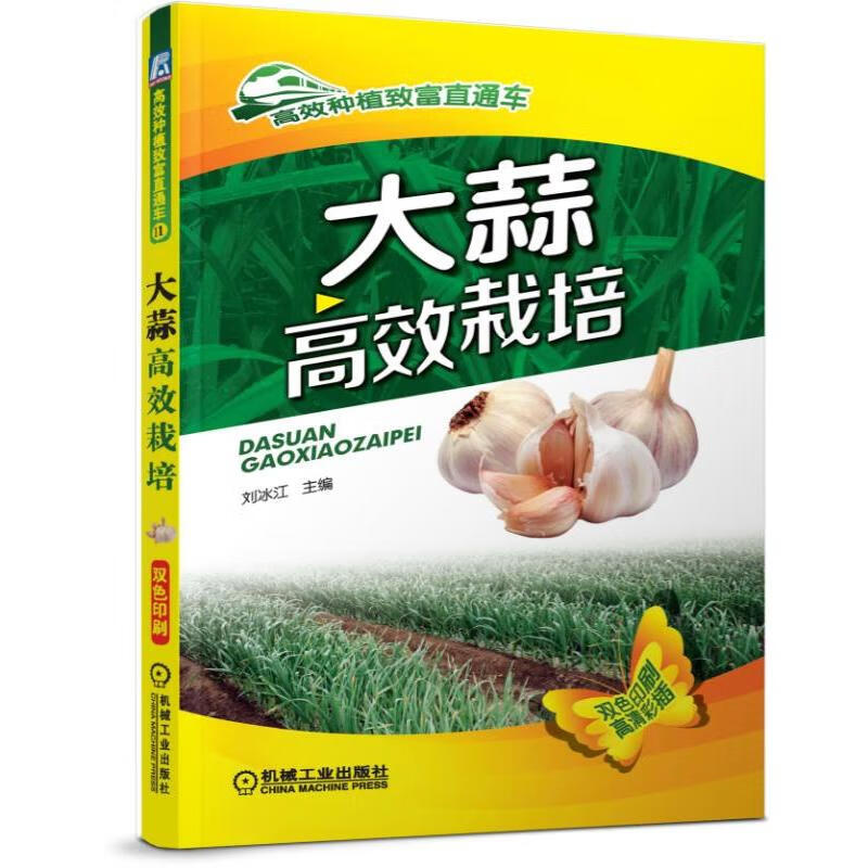 大蒜高效栽培 高效种植致富直通车 大蒜栽培技术从入门到精通 栽培教程教材全集 大蒜栽培书籍品种 高效