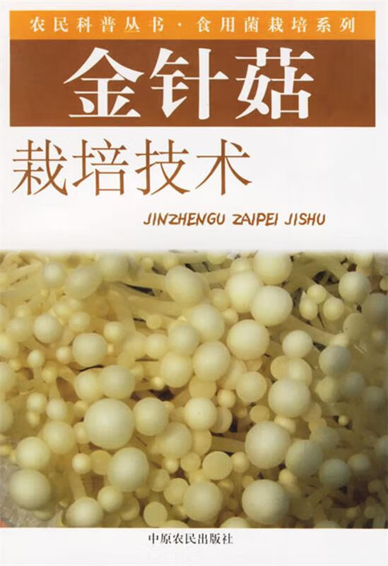 金针菇栽培技术