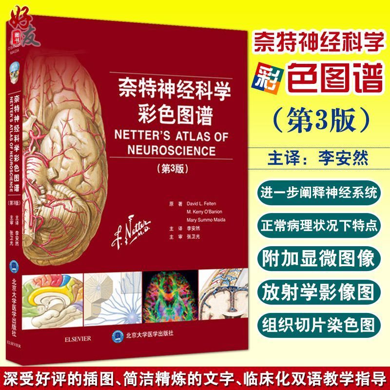 奈特神经科学彩色图谱 第三版 第3版 神经系统临床解剖书 内