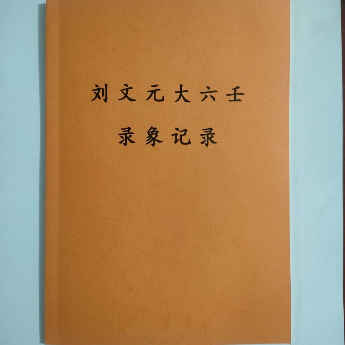 刘文元录像记录