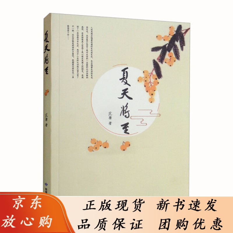 夏天将敦煌文艺范康