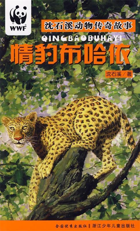 情豹布哈依 沈石溪动物传奇故事