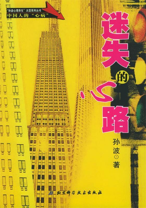 回归迷失的心路 孙波 著