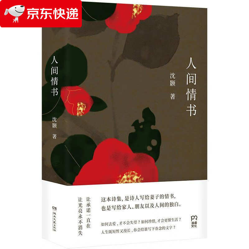 人间情书 沈颢 9787540492755