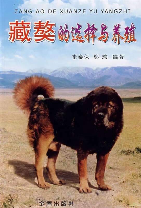 藏獒的选择与养殖