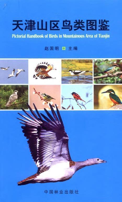 天津山区鸟类图鉴