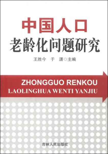 中国人口老龄化问题研究
